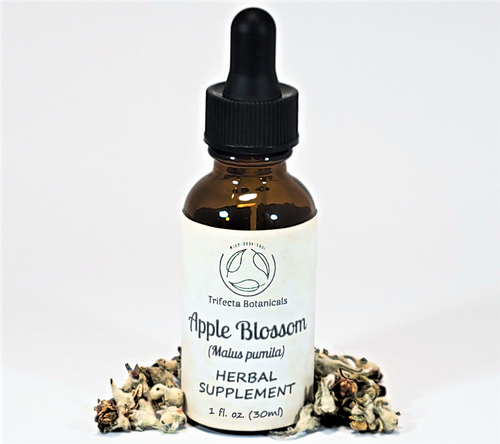 Buy Organic Apple Blossom Tincture (Malus pumila) | Trifecta Botanicals