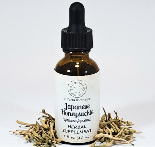 Japanese Honeysuckle - Extract Tincture | Trifecta Botanicals