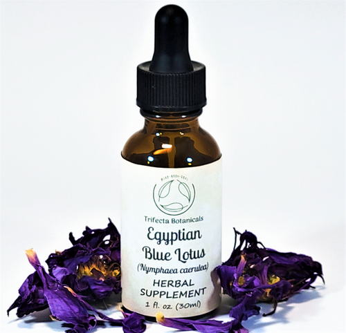Buy Organic Egyptian Blue Lotus Tincture (Nymphaea caerulea) | Trifecta ...