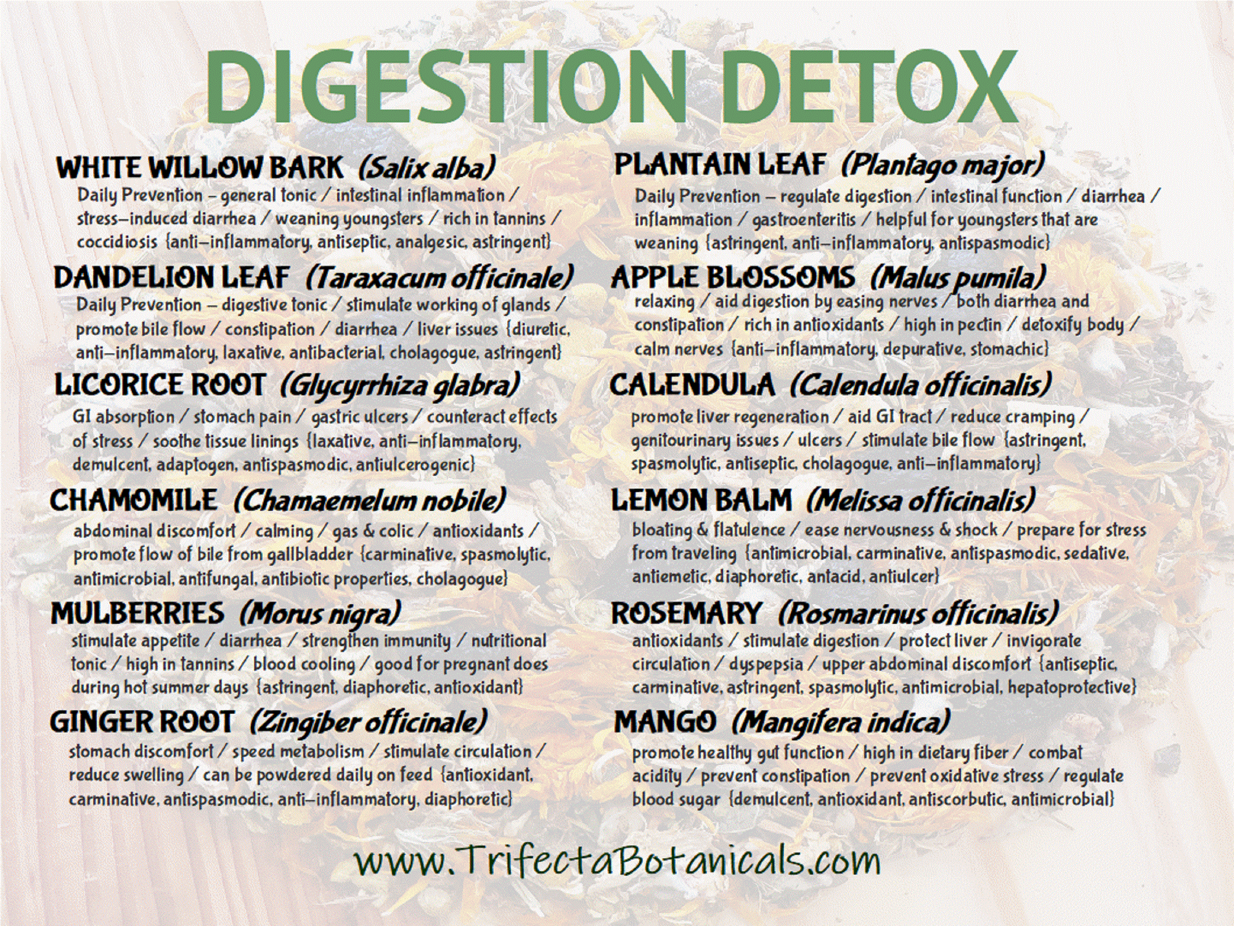 DIGESTION DETOX - Herbal Forage Blend | Trifecta Botanicals