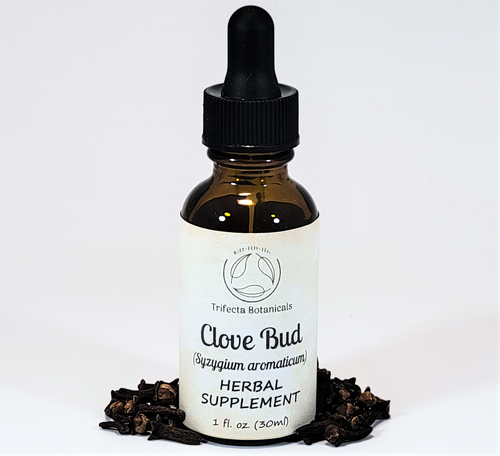 Clove Bud - Extract Tincture | Trifecta Botanicals