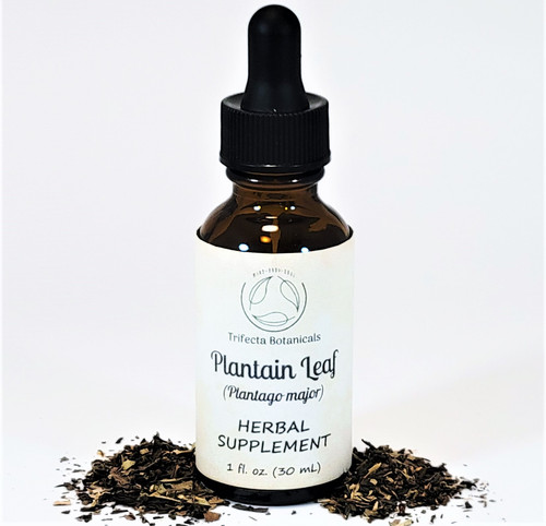 Plantain Leaf - Extract Tincture | Trifecta Botanicals