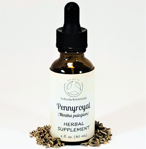 Pennyroyal - Extract Tincture | Trifecta Botanicals