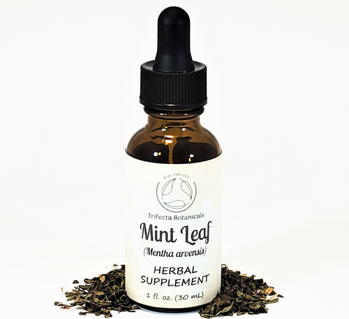 Mint Leaf - Extract Tincture | Trifecta Botanicals
