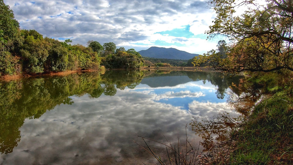 TG Newsletter: LEVUBU