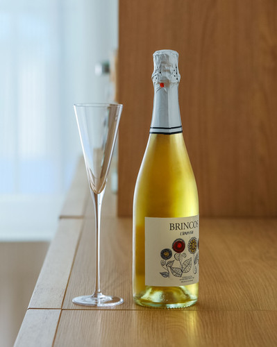 CRISON | CHAMPAGNE GLASS SERIES แก้วแชมเปญ แก้วสปาร์คกลิ้งไวน์ (CP8203 ...