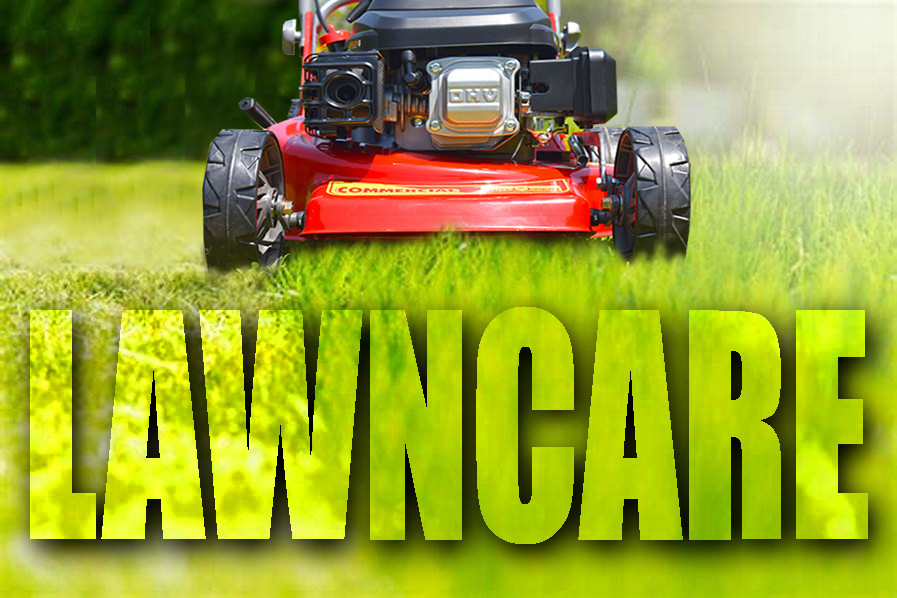 Tandem's range of mowers and trimmers, is all your lawn needs, and ...