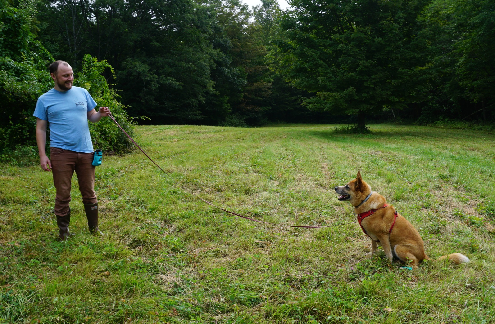 The #1 Tool for Off Leash Dog Training