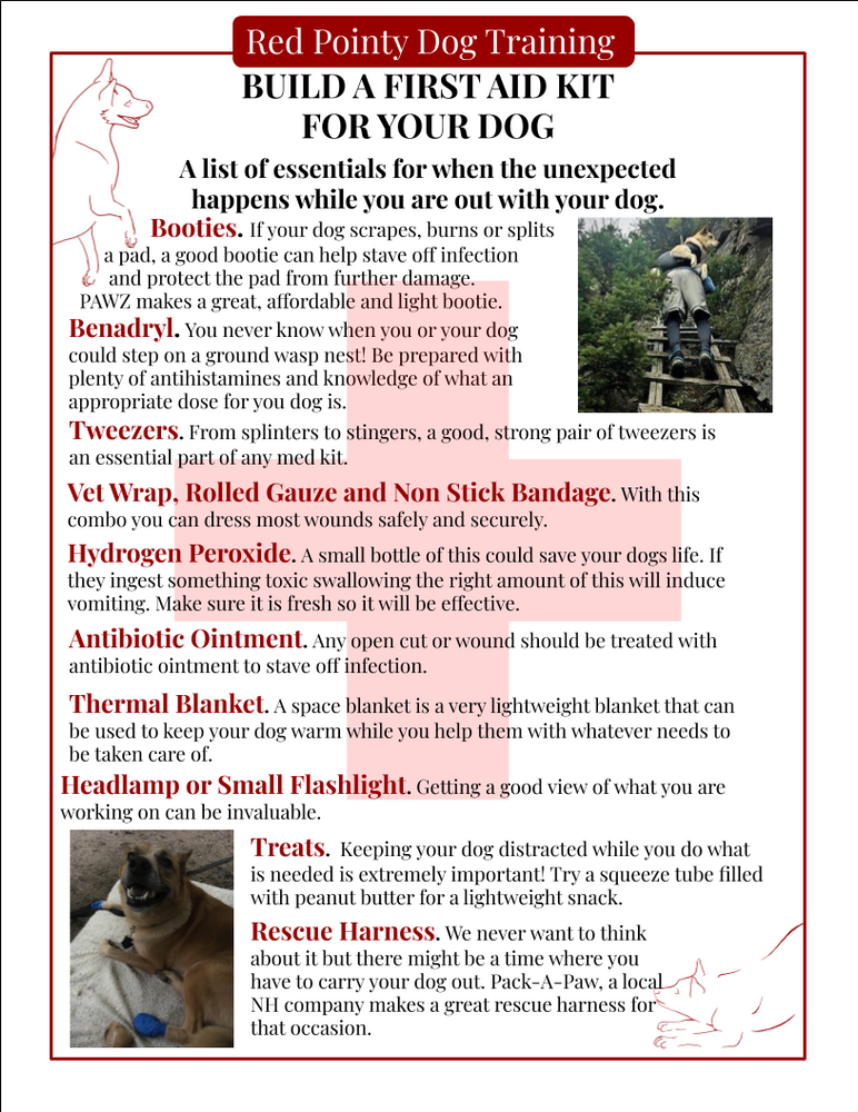 Build Your Dog First Aid Kit