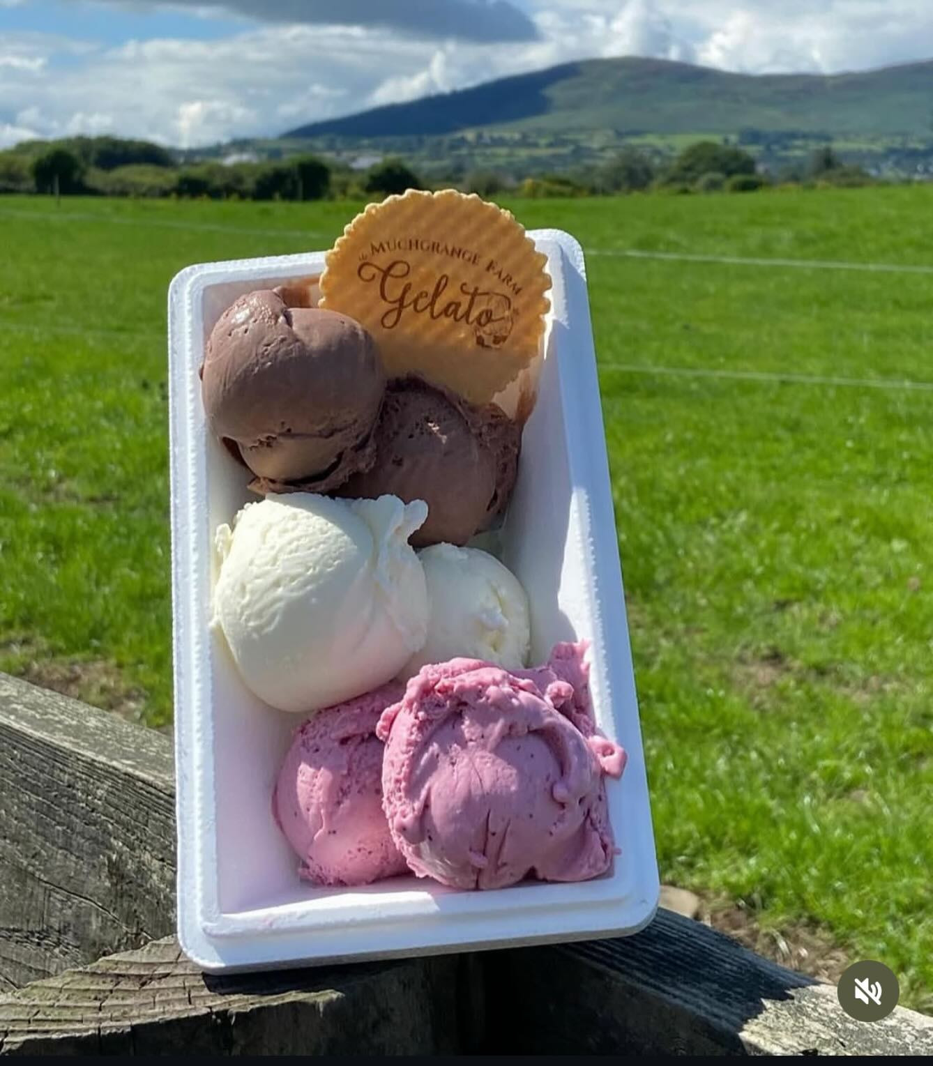 Muchgrange Farm Shop & Farm Made Gelato | Visit Louth