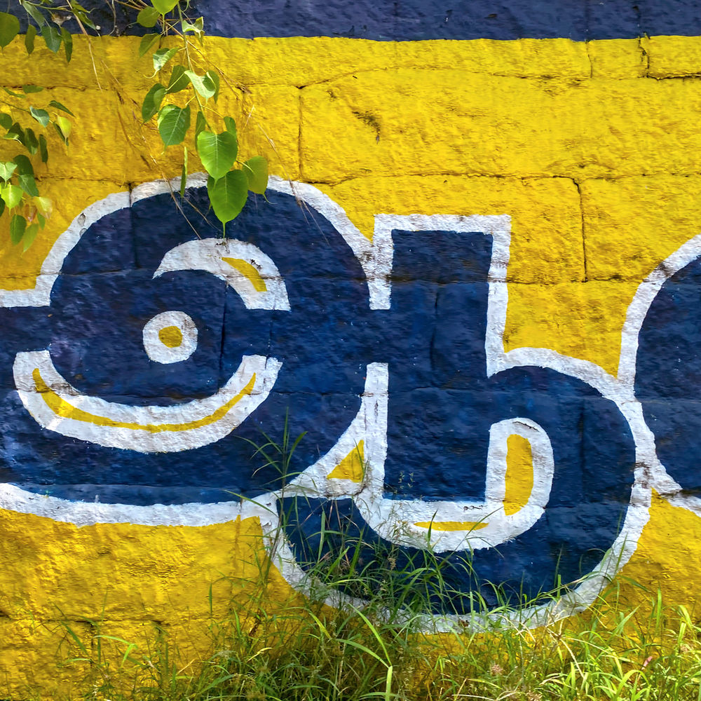 Hand-Painted Signs of India