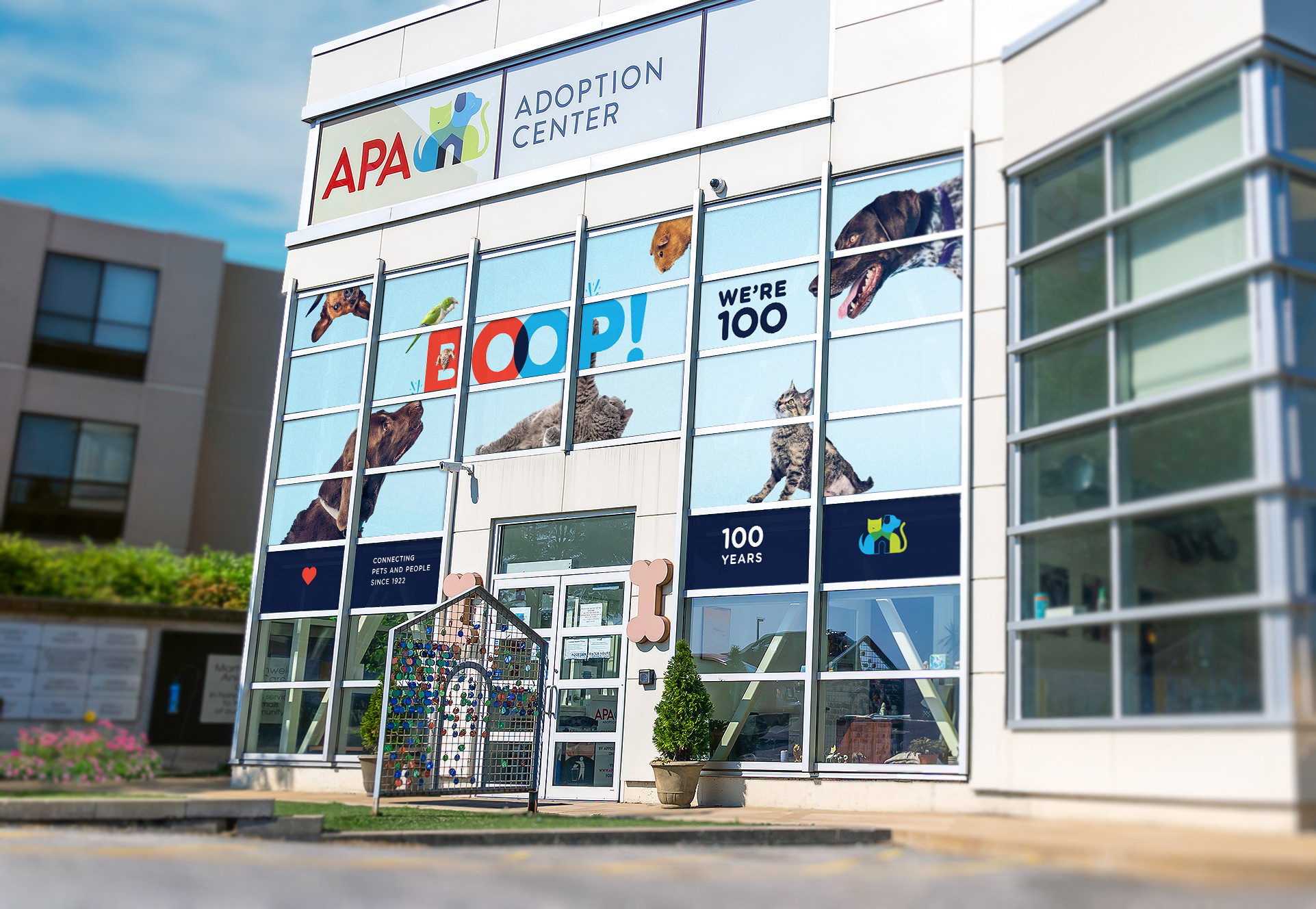 Darling | Case Study: APA Adoption Center: BOOP! We're 100