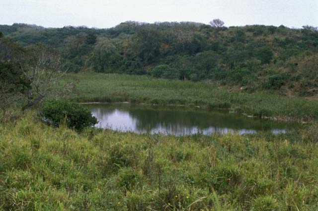 Humedales de agua dulce | cienagasyhumedales