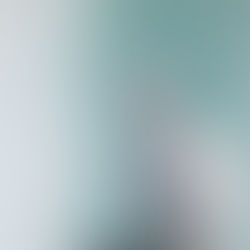 The fork-tailed sunbird (Aethopyga christinae)