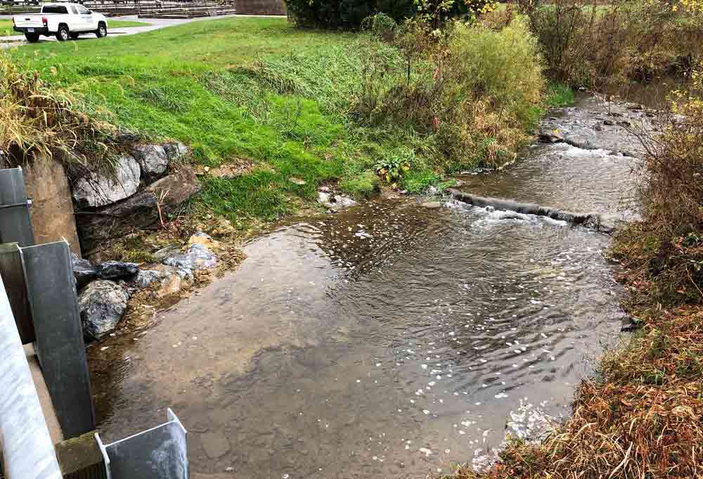 Project: Stream Bank Restoration