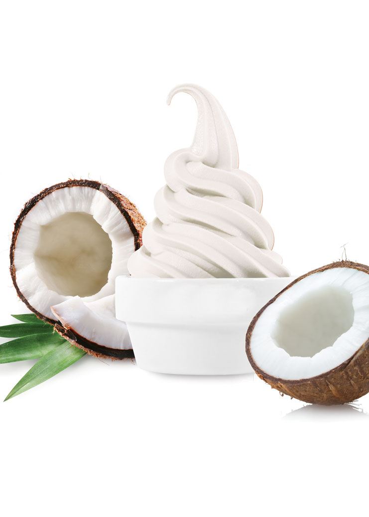 QUILOX Bases para preparar helado de yoghurt y bebidas de sabor