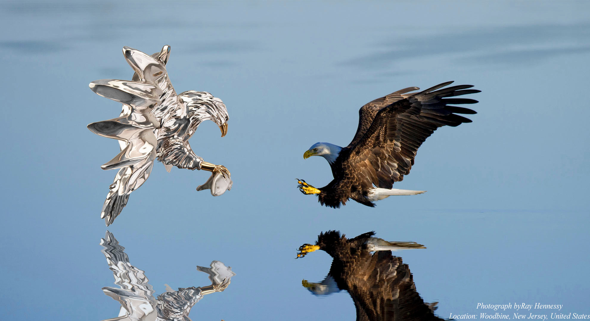 Bird Statue Collection by DArgenta | Unique Gifts | Home Decor | Awards ...