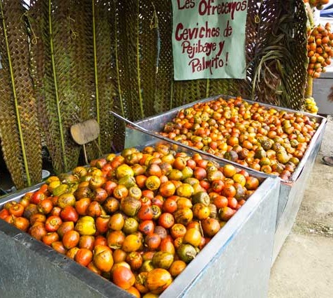 Pejibaye: The Savory Costa Rican Super Fruit You Must Try