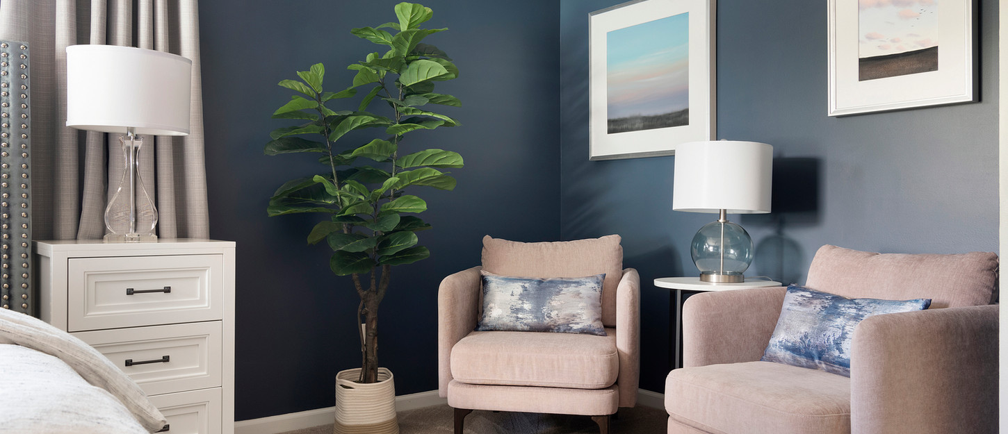 Interior Design & Color Consulting | Minneapolis, Minnesota | Happy ...