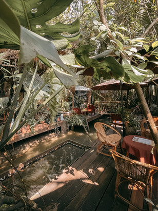 Bali Forest | Hiddentreegarden