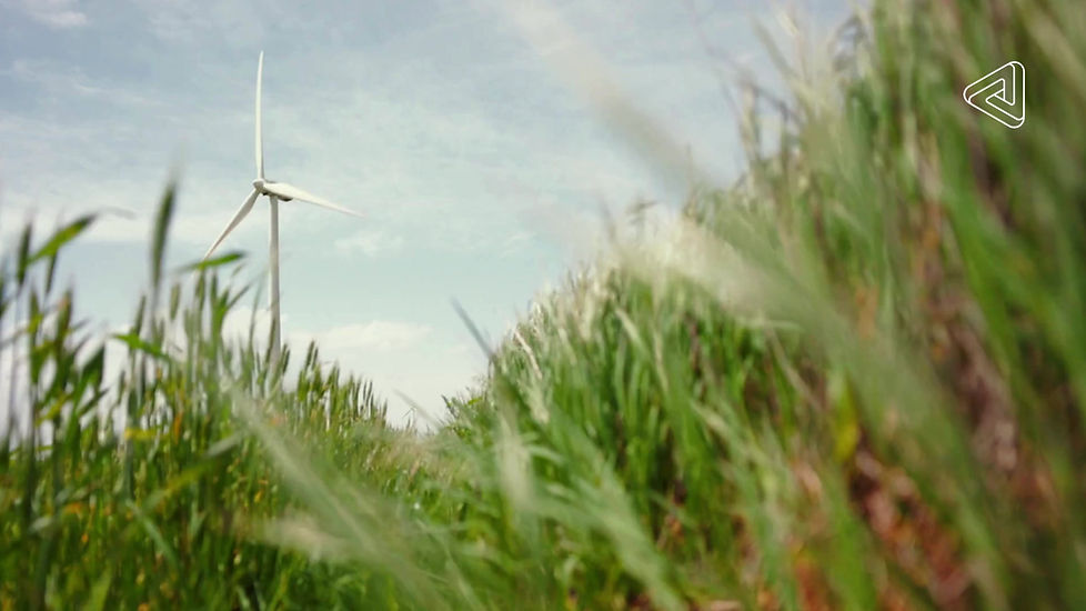 About Creative Waste Solutions | Buckinghamshire Waste Management