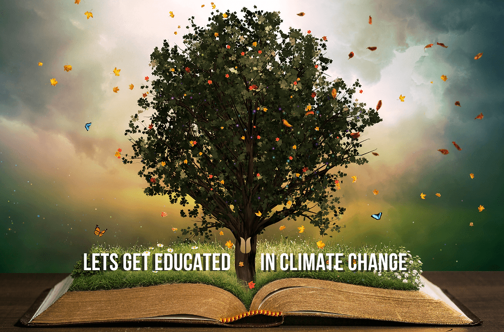 The Crucial Role of Education in Combatting Climate Change