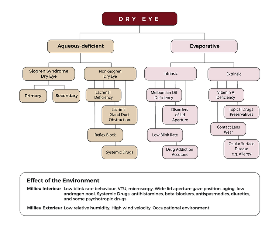 DRY EYE | Complete Optometry