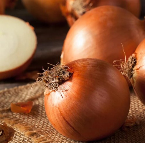 Candy Onion: 100 Seeds | Grow Veggie Plants