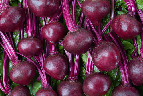 Merlin Beets: 30 Seeds | Grow Veggie Plants