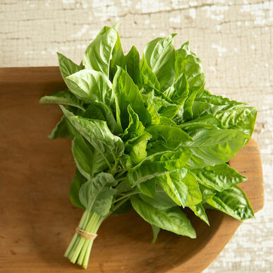 Herb Plants | Grow Veggie Plants