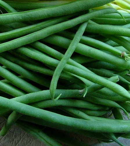 Jade Green Bean: 30 Seeds | Grow Veggie Plants