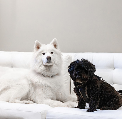 Who We Are | Terrafirma Commercial Real Estate