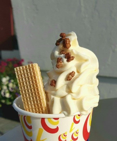 Nuts about Icelandic Ice-cream!