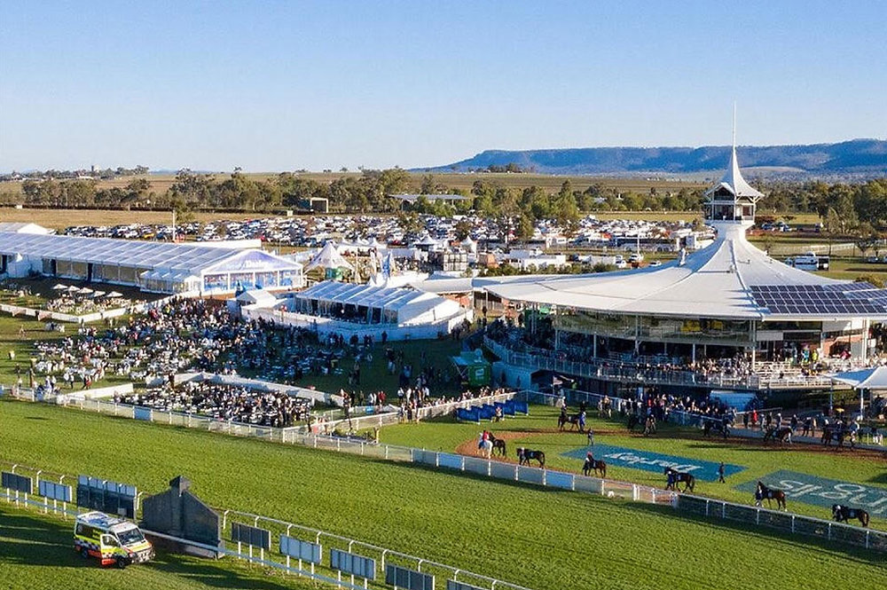 PROVINCIAL POINTERS ON THE BALL