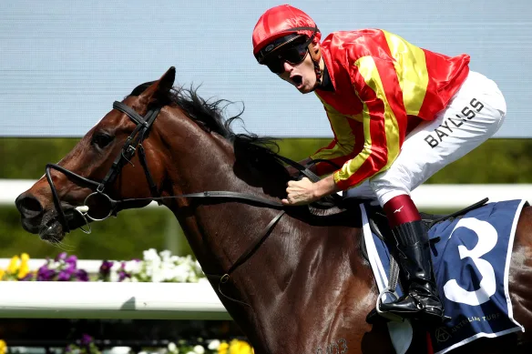 News | Provincial Racing Nsw