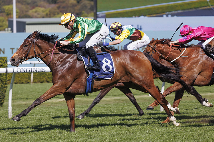 News | Provincial Racing Nsw