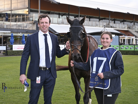 News | Provincial Racing Nsw