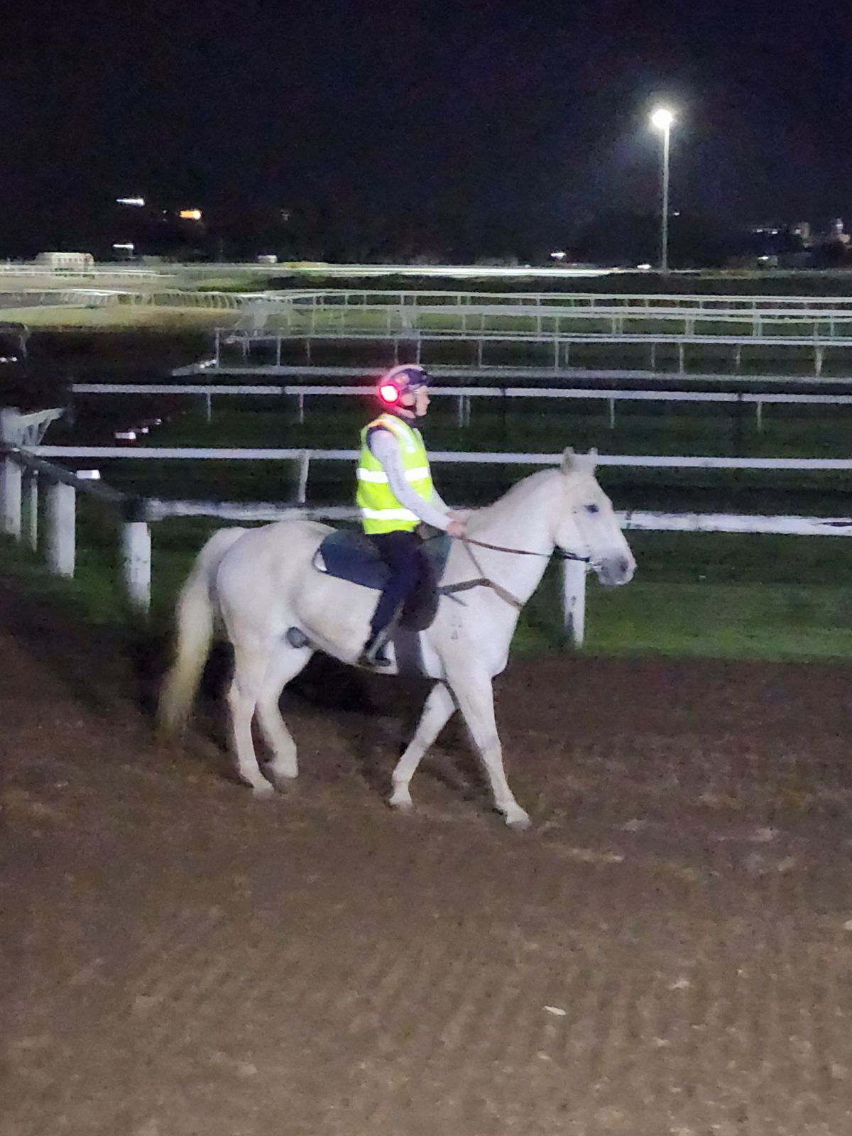 LOCKY SCORSE – BACK “IN THE SADDLE” AGAIN