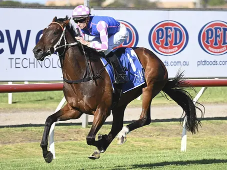 News | Provincial Racing Nsw