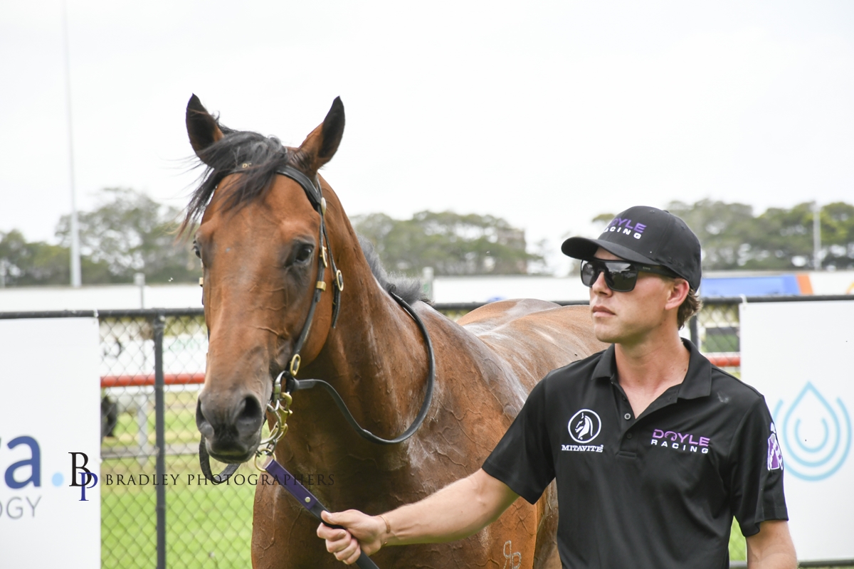 “HARRY” STICKS TO THE PROVINCIALS FOR NOW