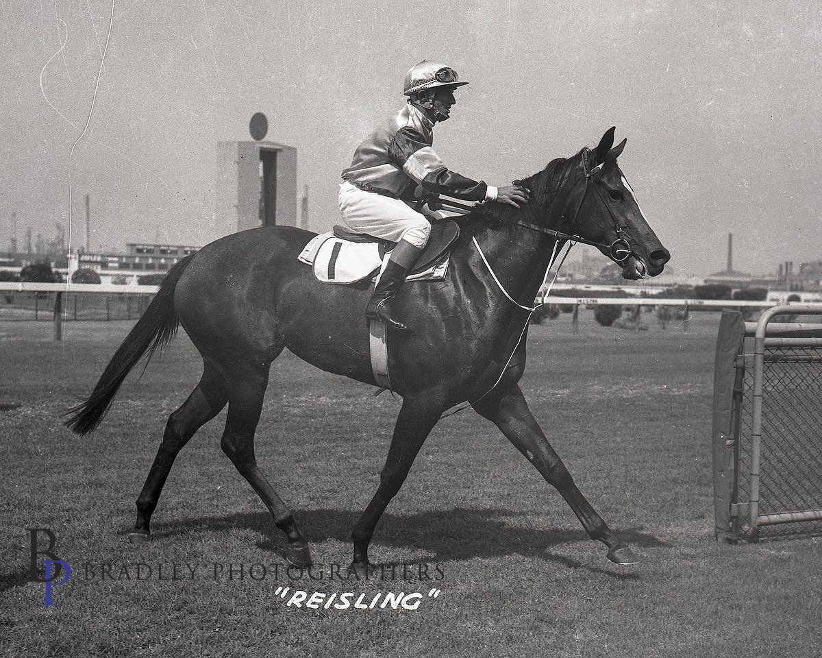 LAURIE BILLETT – GOLDEN SLIPPER JOCKEY TURNS 90