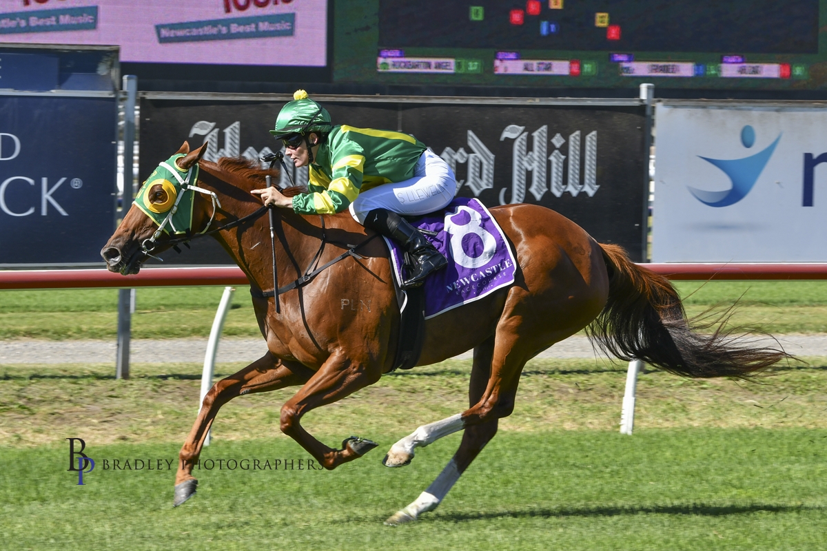 LLEWELLYN’S PATIENCE AND PERSEVERANCE PAYING OFF