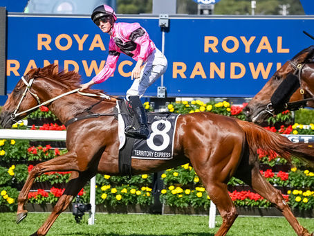 News | Provincial Racing Nsw