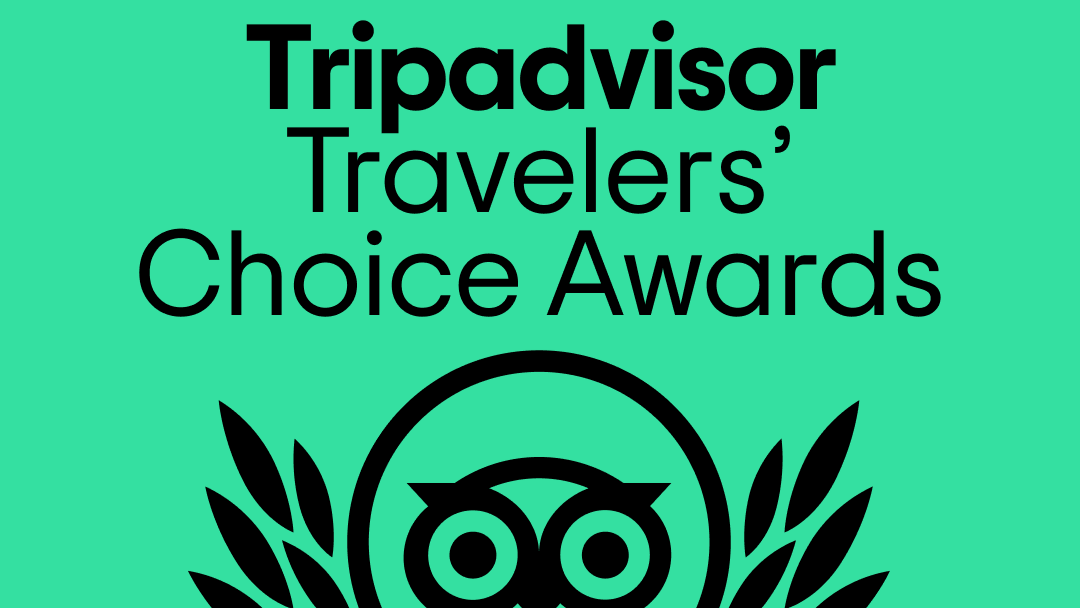 Lisbon is on Tour Wins The Tripadvisor Travelers' Choice Award 2024!