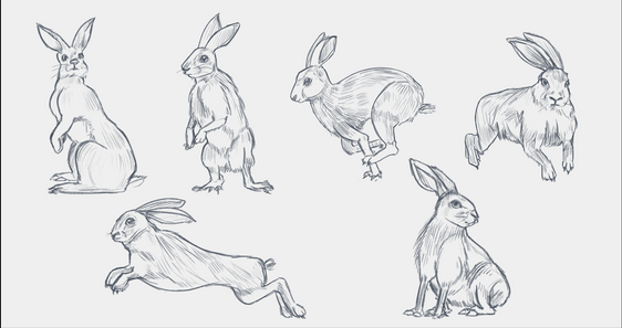 Art Study | Creatrix