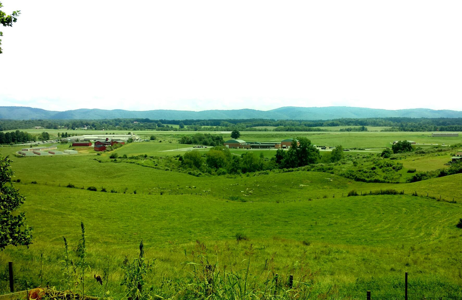 The beautiful view looking out of Maxwelton Group Home.