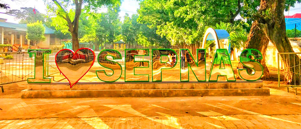 HOME | SEPNAS Online