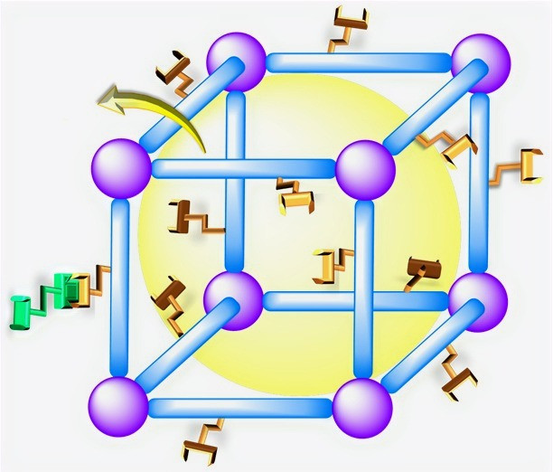 Datta Markad | Contact