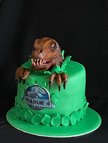 Raptor Cake | Bailey's The Bakers