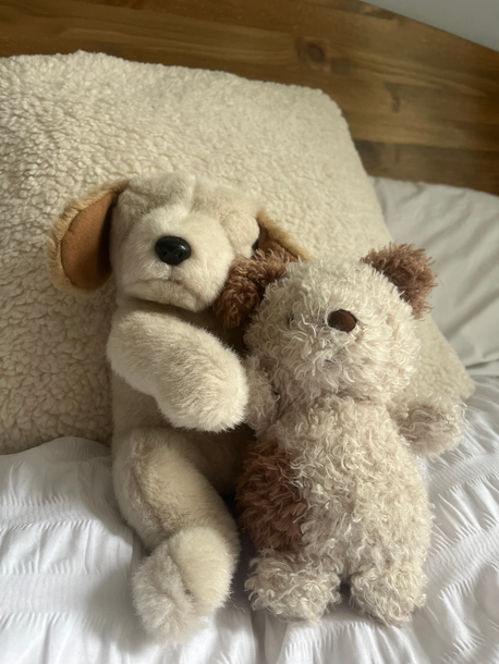 Loved Again | Loved Before